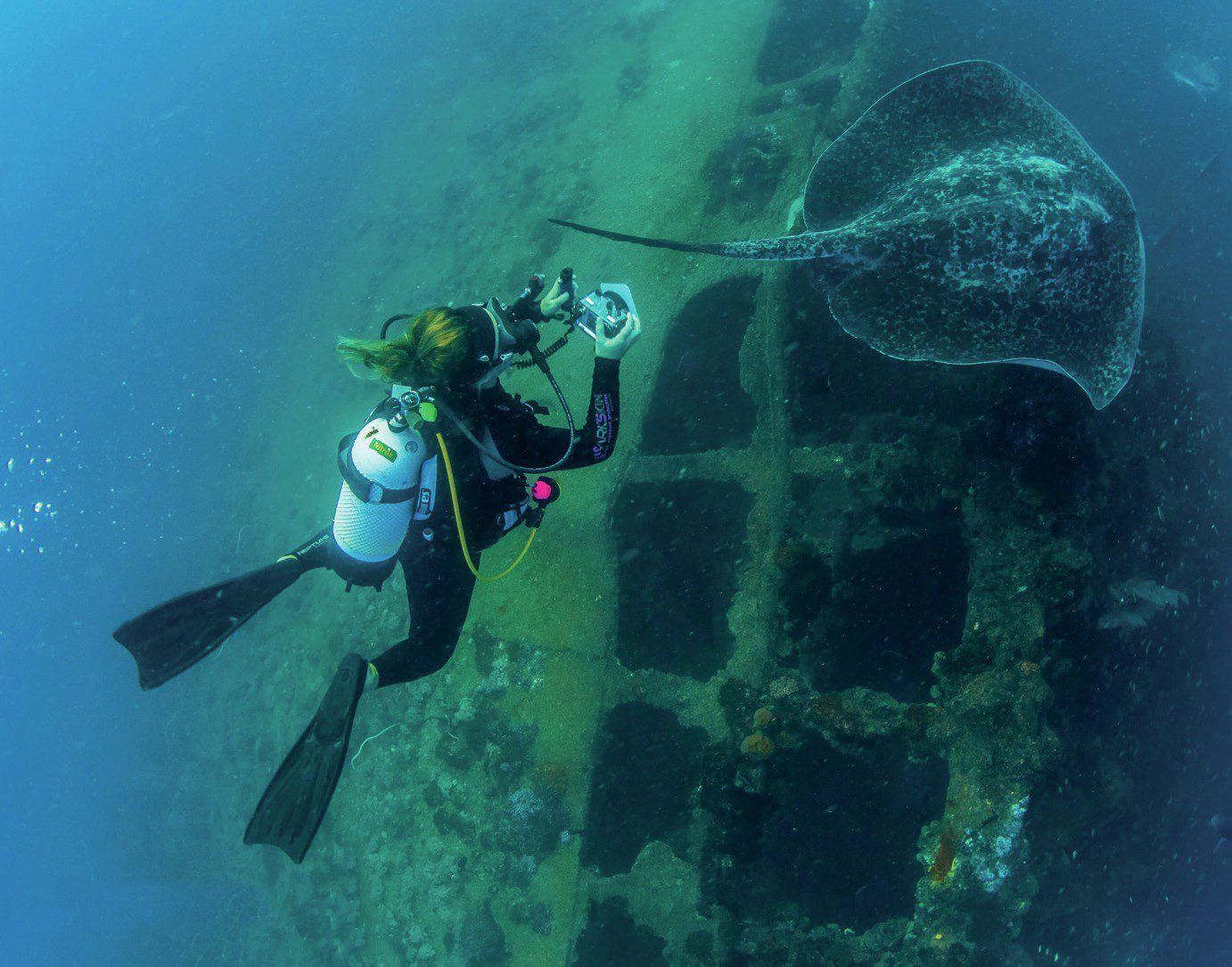 The SS Yongala's Last Journey and Its Eternal Legacy