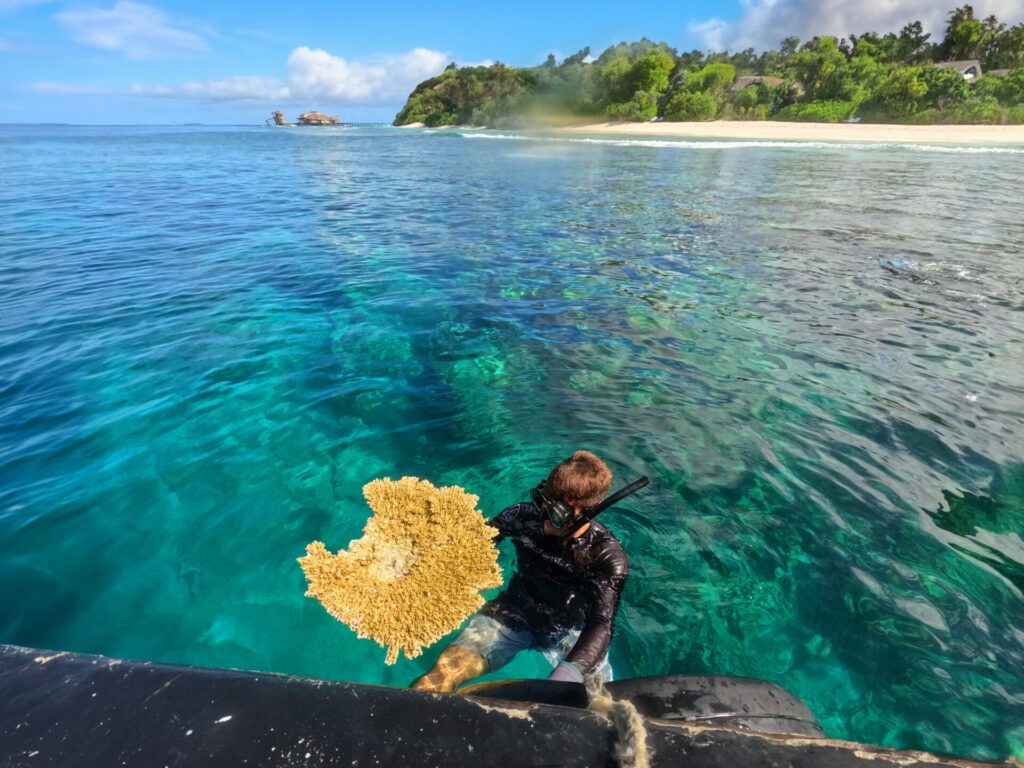 Maldives Coral Restoration Project